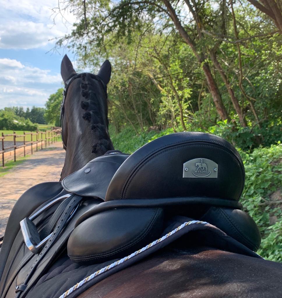 My Sattel - individueller Sattelhersteller für Pferd & Reiter